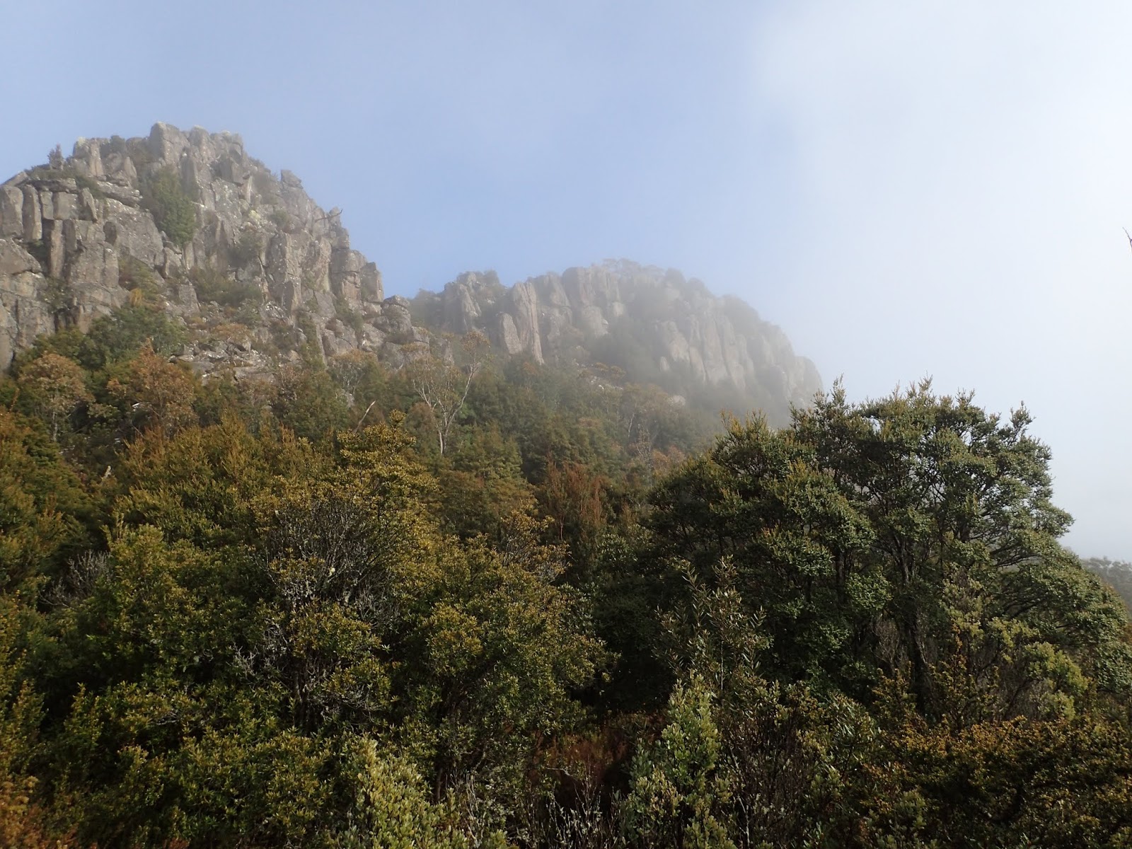 Mount Charles from White Timber Trail | Hiking South East Tasmania