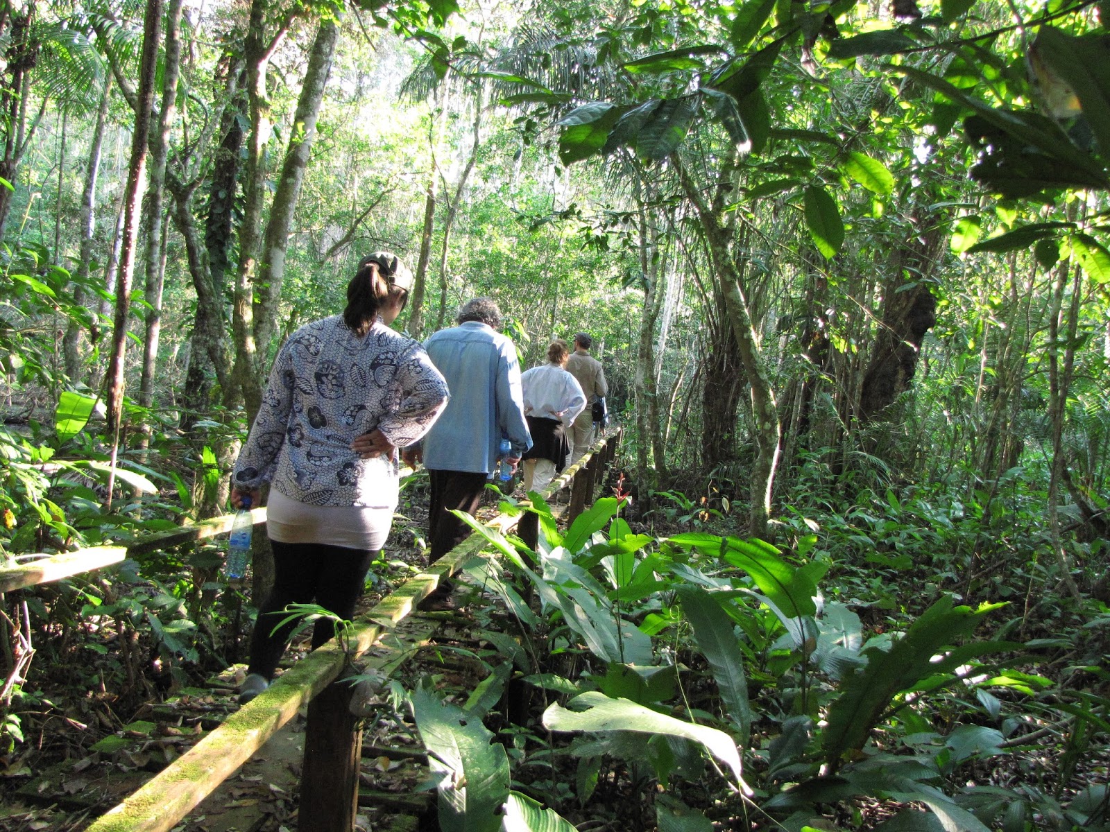 MAPAJO ECOLODGE / ECO ALBERGUE MAPAJO: TRAIL SYSTEM / Rutas y ...