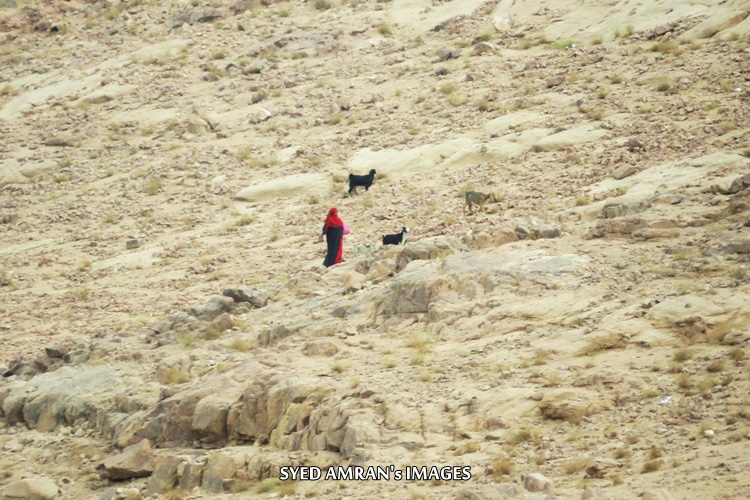 Agar Aku Tidak Lupa: EGYPT - DAY 04 - PART 04 - MAKAM NABI HARUN AS ...