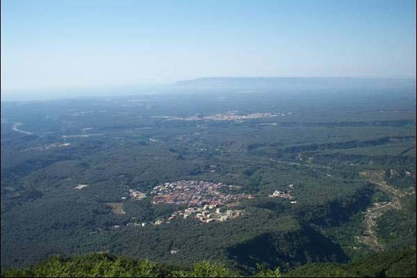 Molochio, comune aspromontano di 2.619 abitanti. Un concentrato di rare ...