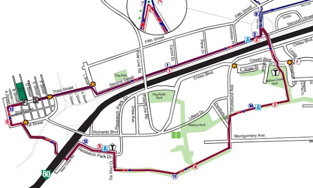 Run-Hike-Play: Davis Stampede 10K Race Recap 2/21/16