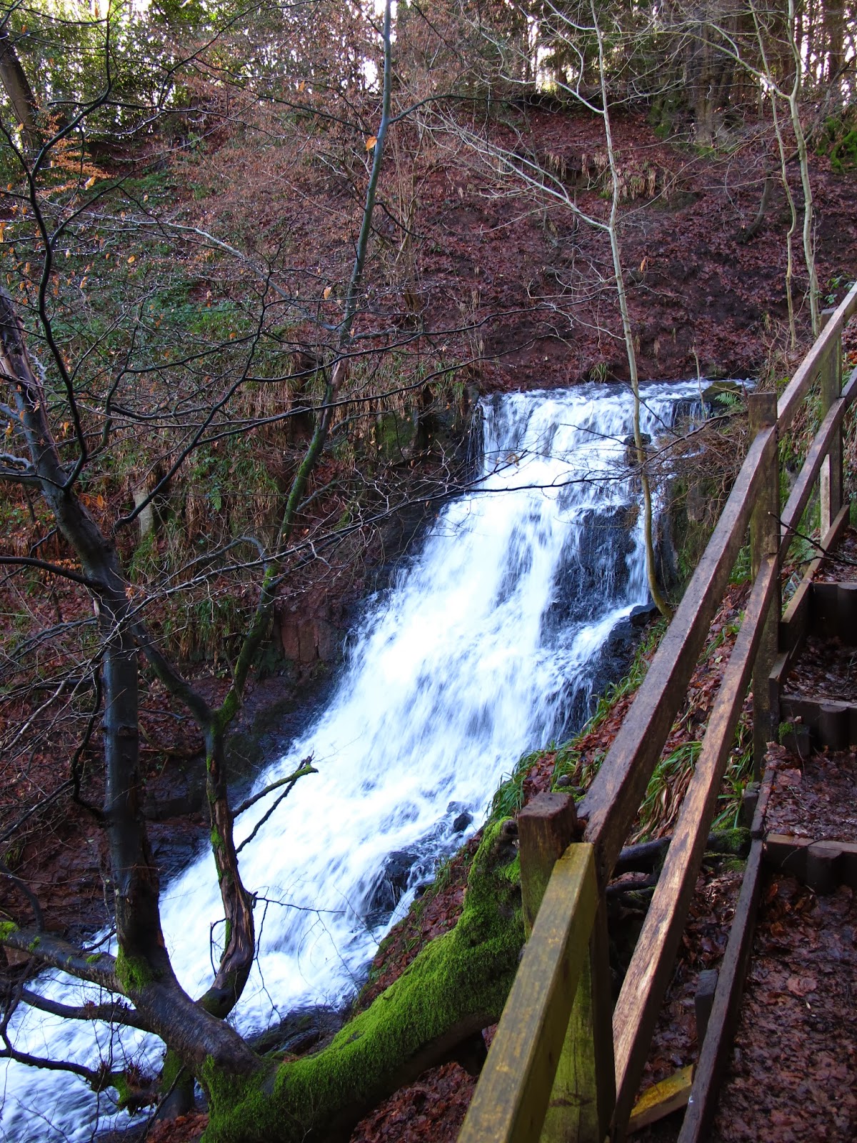 Places: Cleddon Falls - February 2014