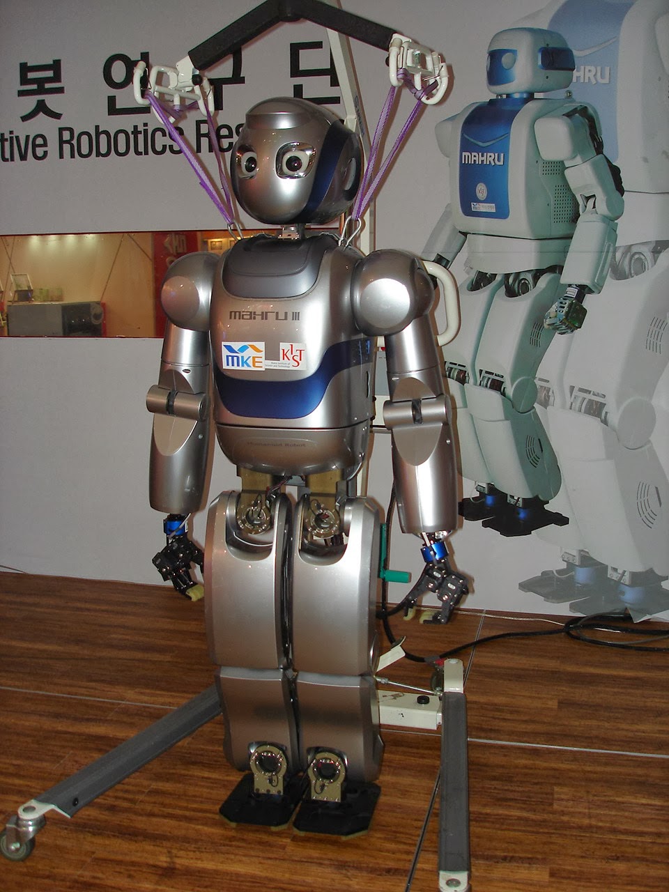 Automation and Computers: Robot World 2009. The South Korean Robotics ...