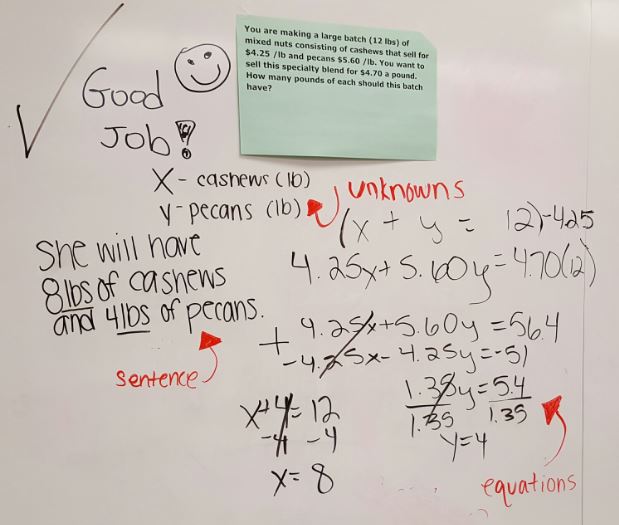 Beautiful Math: Mixture Problems in Algebra One