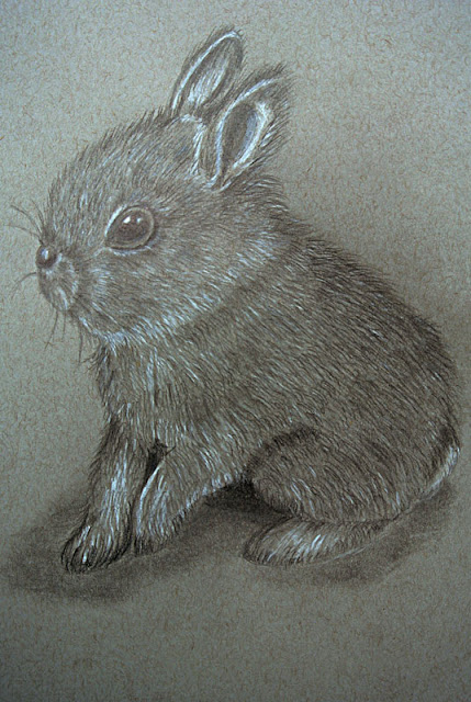 Do More With Less: Pencil drawing of a cute bunny...