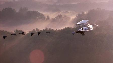 Esol NPGHS: Fly Away Home - essay example