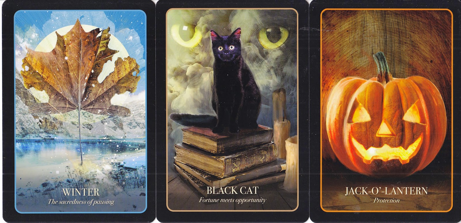 Rowan Tarot: Deck Review - Halloween Oracle