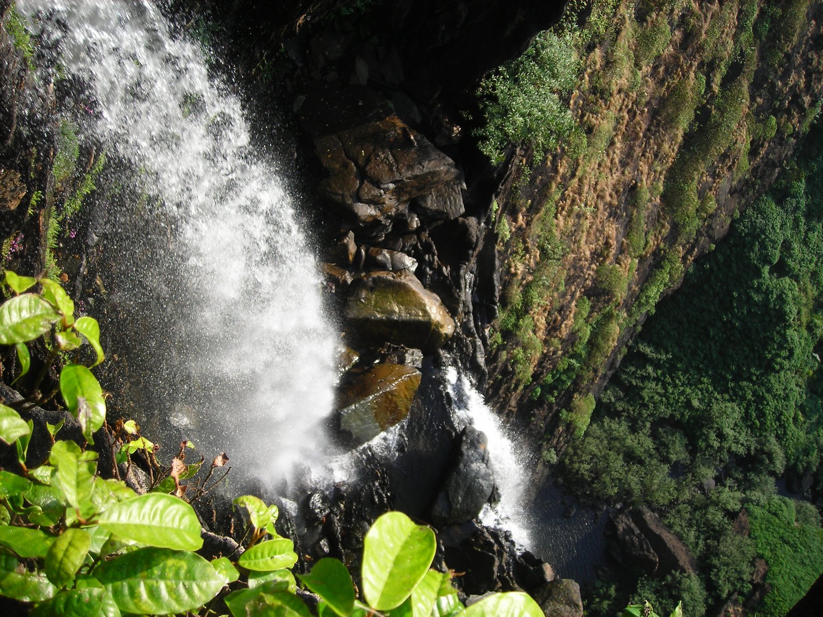 TourismSpot.in: Agumbe - Hill station in Karnataka