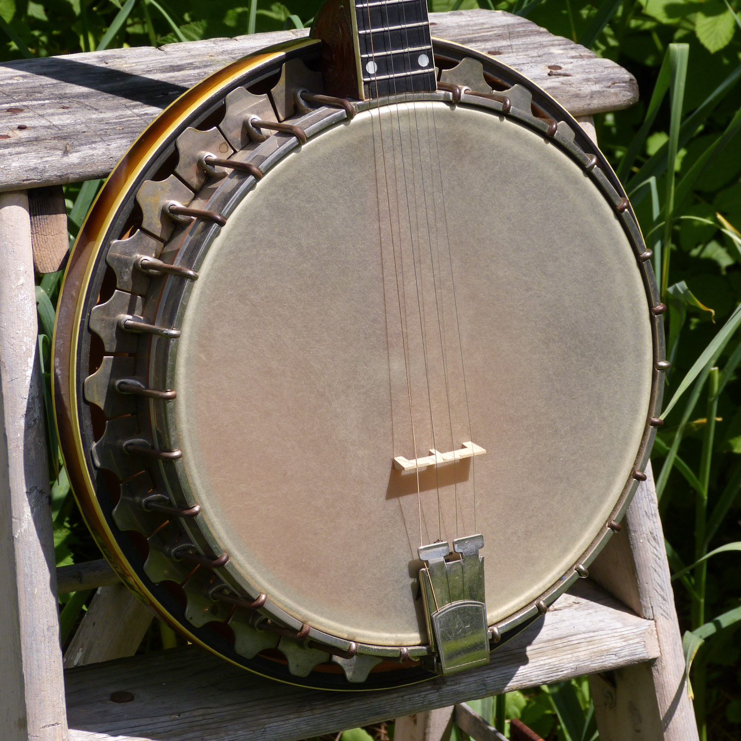 1930 Vega Vegaphone Professional Plectrum Banjo