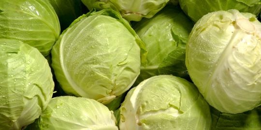 7 Manfaat Kubis ~ Laman Biasa