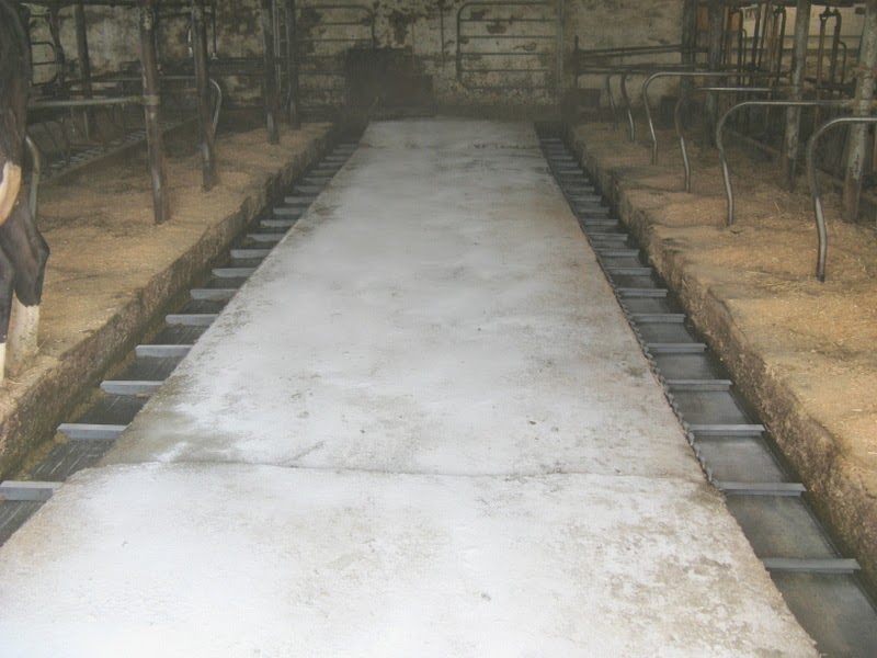 Happily married...to the cows!: Another New Barn Cleaner Chain...