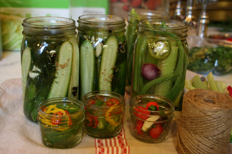 vignette design: Making Tourshi