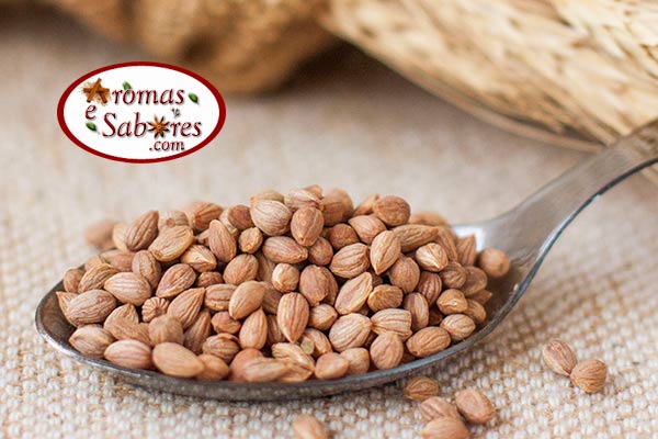 Aromas e Sabores: Mahlab ou mahleb - especiaria exótica