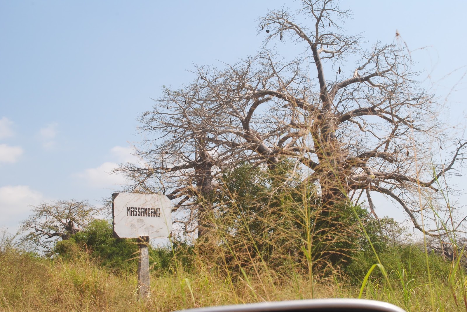 Baile das Palavras: Massangano - Resgate a história de Angola