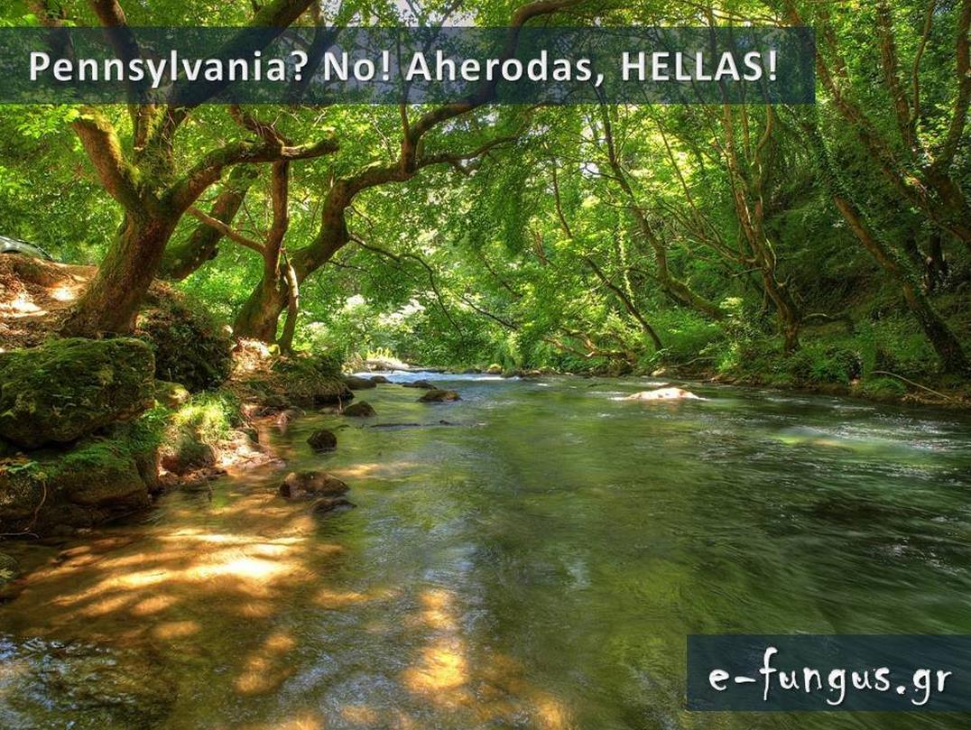 ΟΛΥΜΠΙΑΚΗ ΦΛΟΓΑ: ΠΟΥ ΕΙΝΑΙ ΑΥΤΟ ΤΟ ΜΕΡΟΣ;