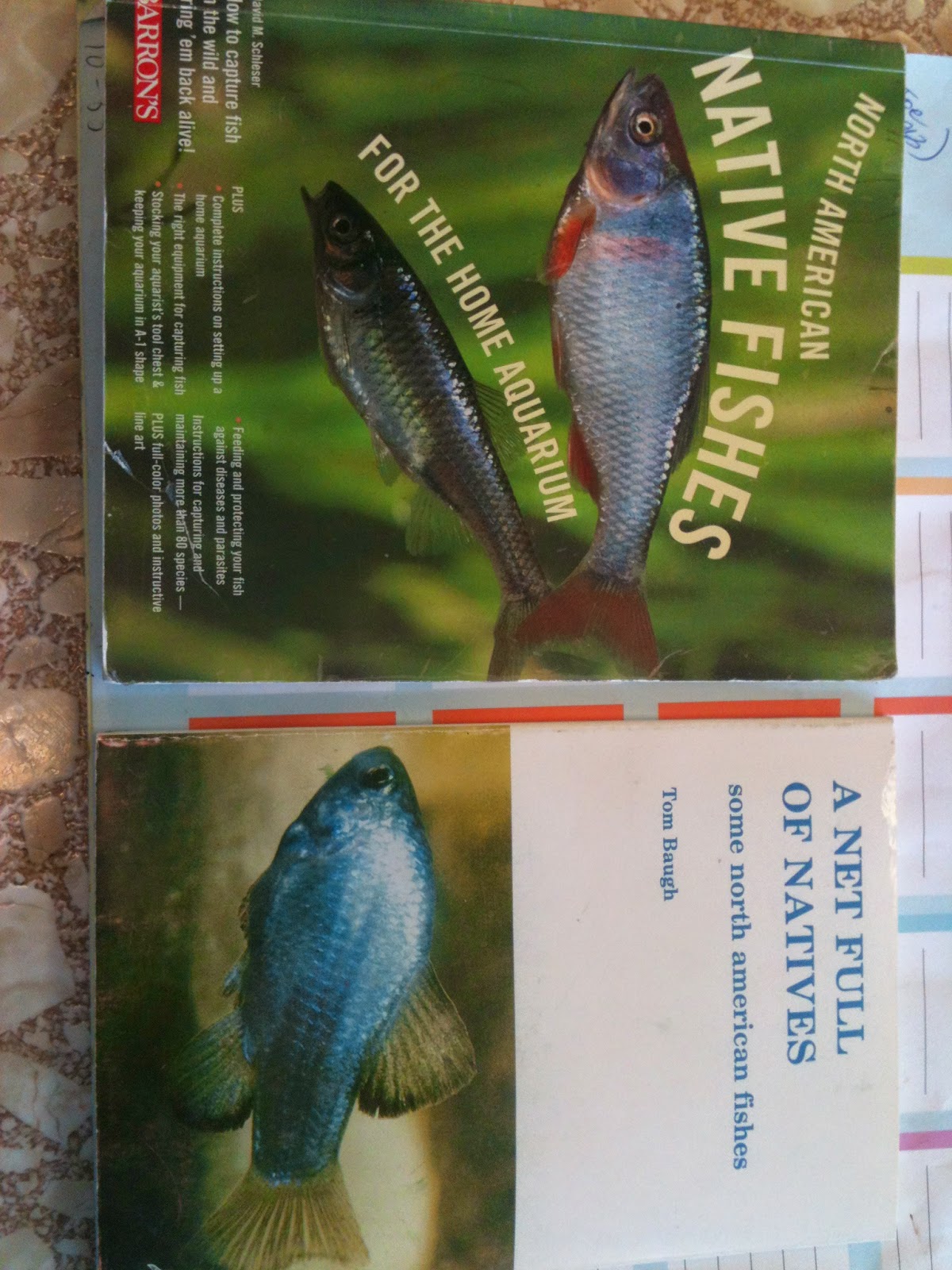 Finatics Tropical Fish : A US native fish tank?