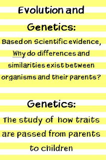 Life, Love, Literacy: Peek at My Week: Science Genetics Unit and MORE!