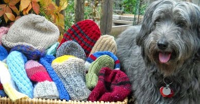 Hats for the Homeless: knitting, giving, loving: Charity Knitting
