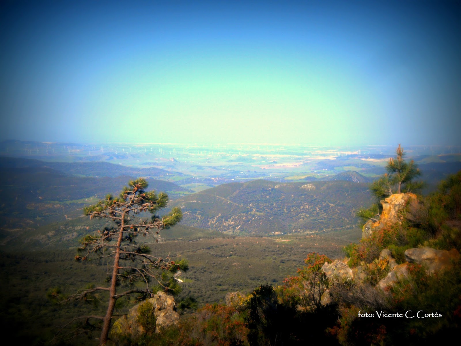d Ruteo: RUTA PICACHO - ALJIBE - LAGUNA DEL PICACHO.