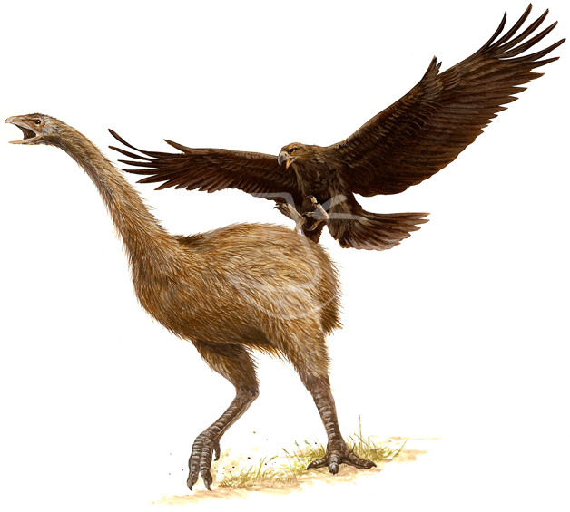 Jurassic Giants Haasts Eagle