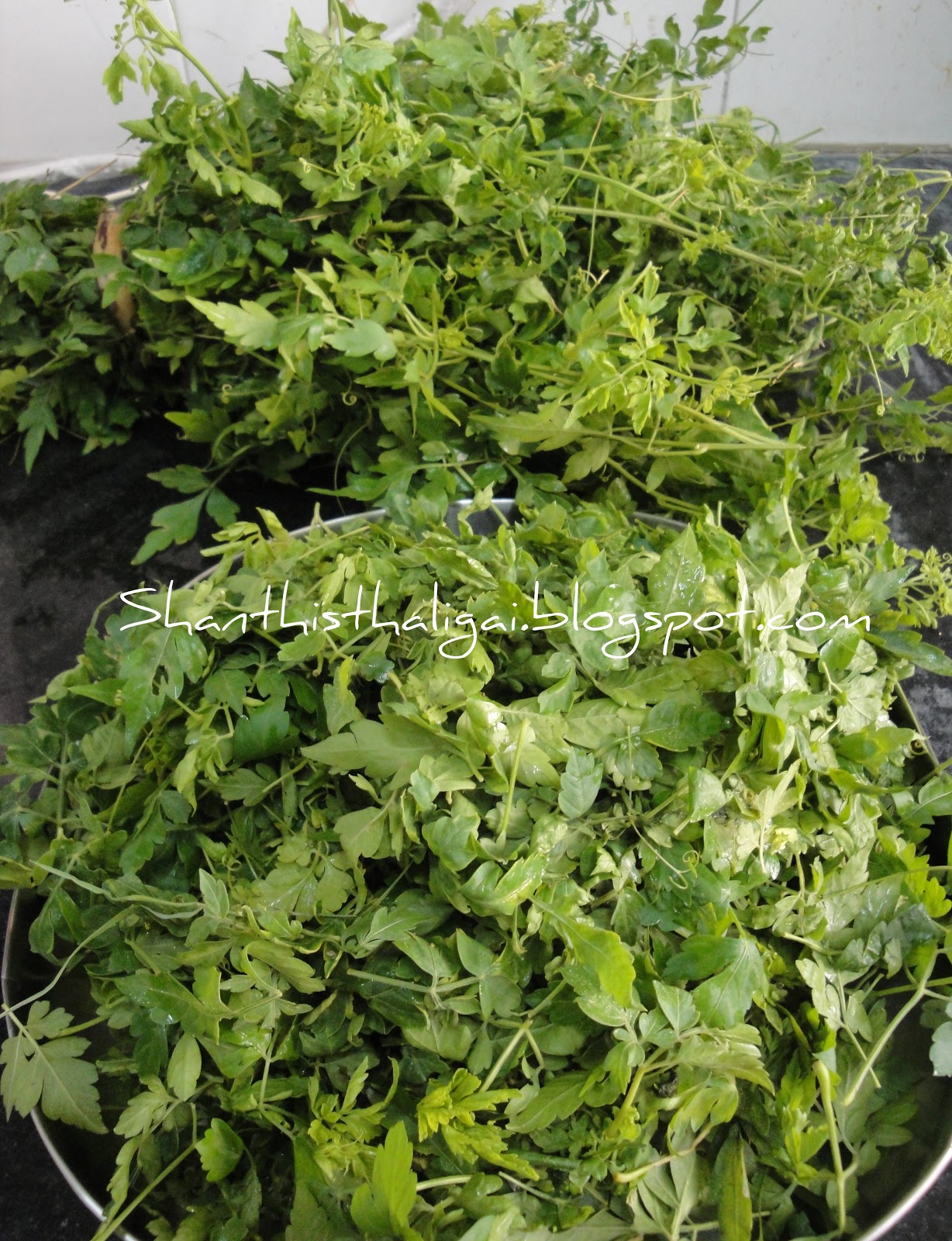 Shanthi Krishnakumar's cook book: MUDAKATHAN DOSAI RECIPE / MUDAKATHAN ...