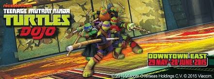 Get Fit with Teenage Mutant Ninja Turtles Dojo Experience and DC ...