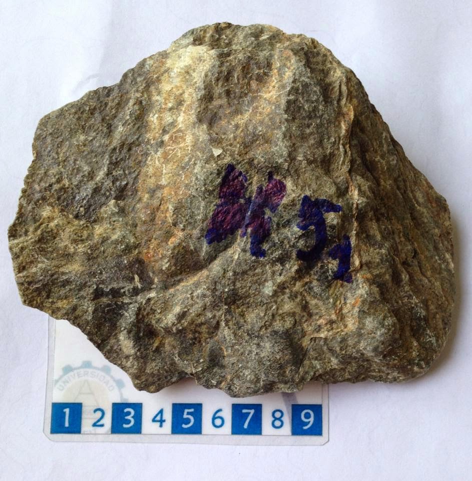 SALIDAS DE CAMPO KC: abril 2014