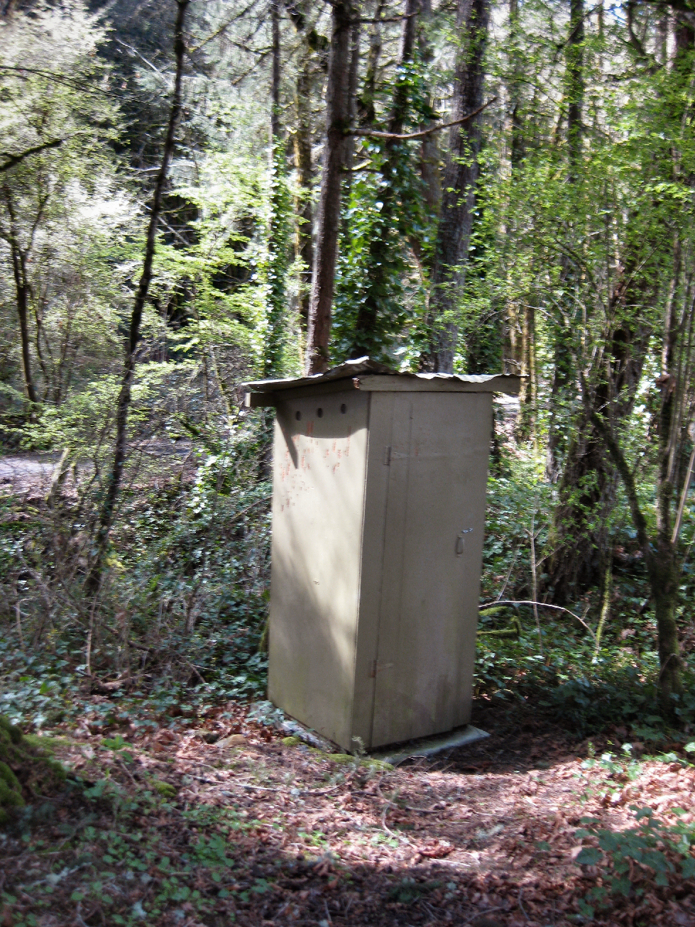 The Adventures of Big Bummed Girl and her Bike: Unveiling the Newly ...