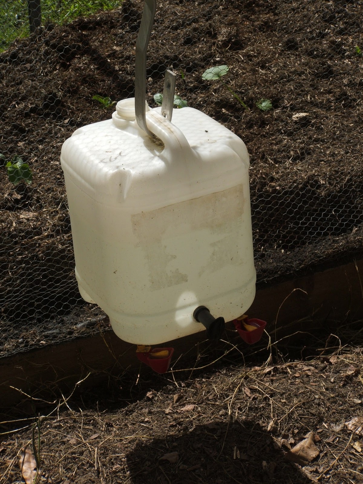 Piggabeen Valley Aquaponics