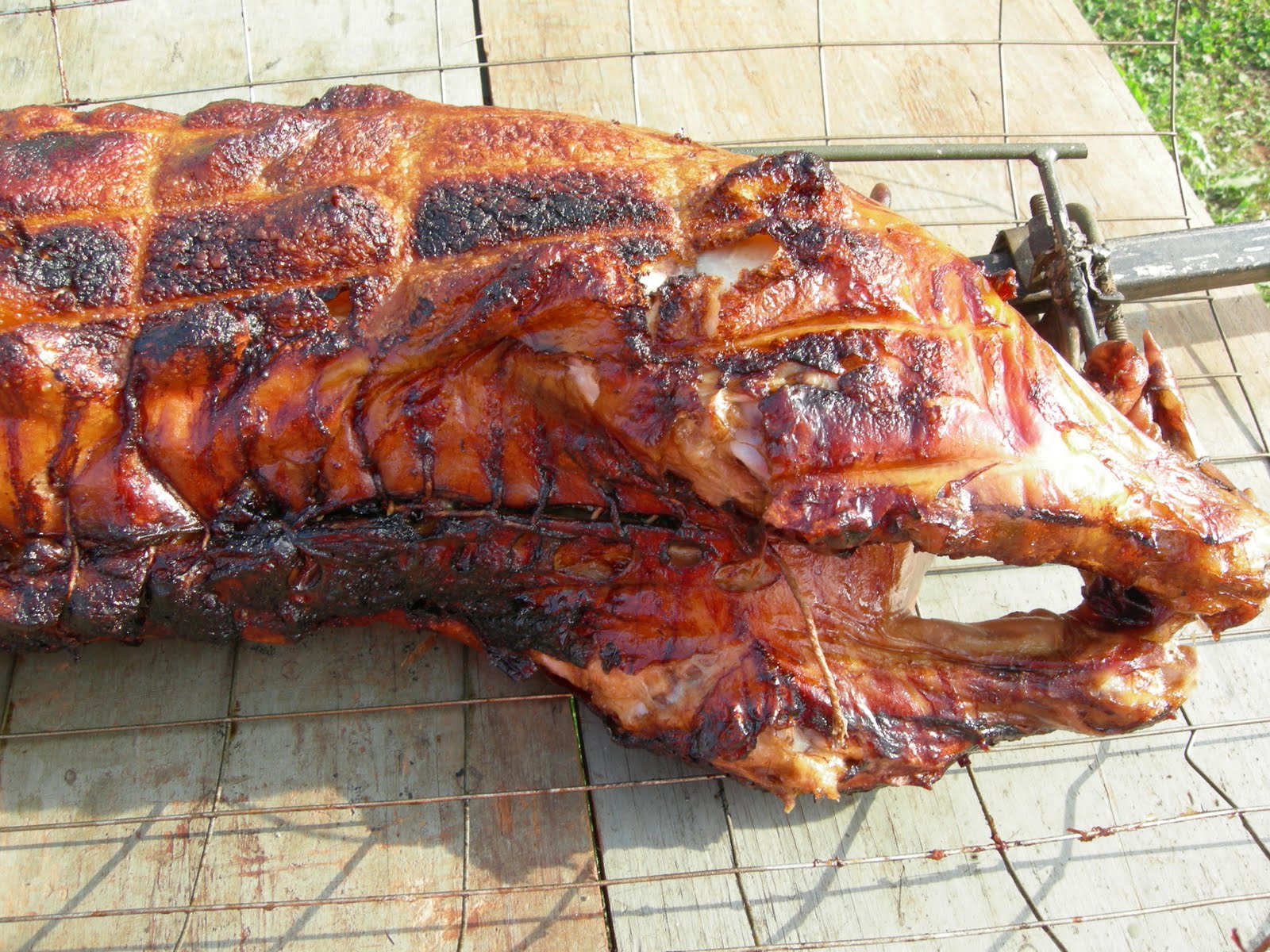 Clear Creek Farm: Pig Picking Time with a Clear Creek Farm Pig