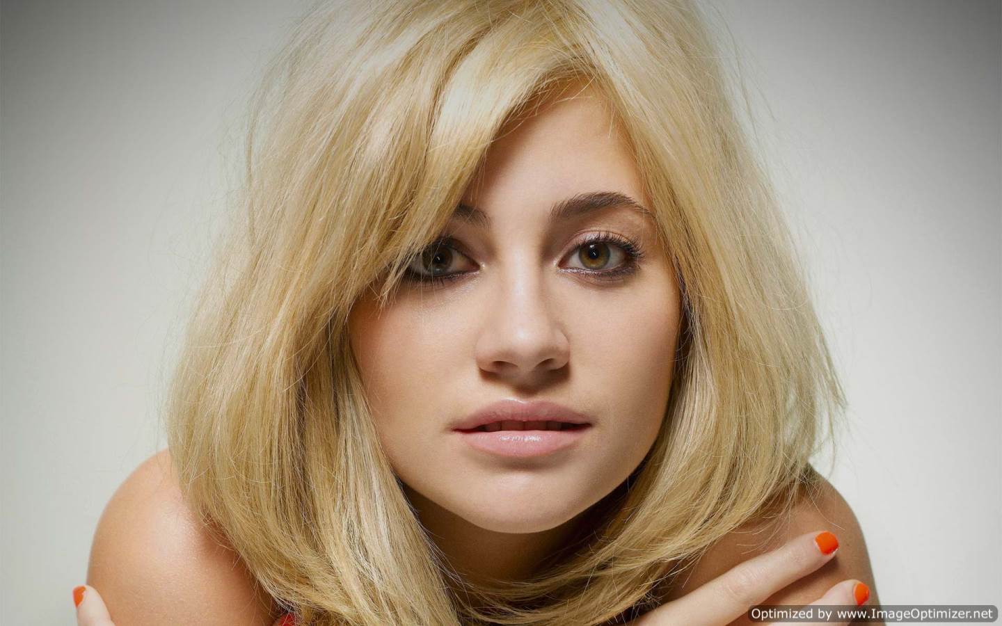 Pixie HD Wallpaper | Free Hd Wallpaper