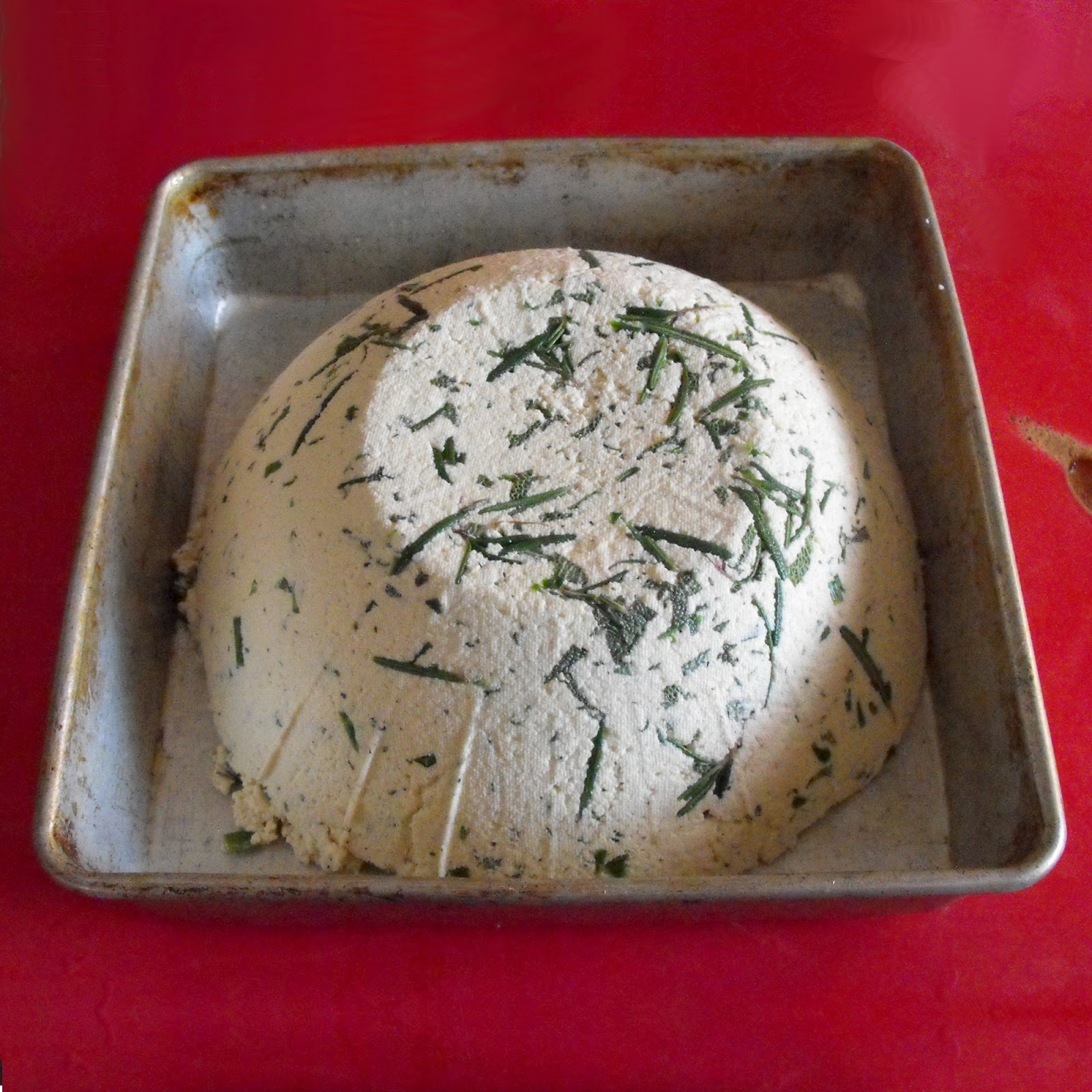 RAYGUNOMICS: Stuffed Tofurkey