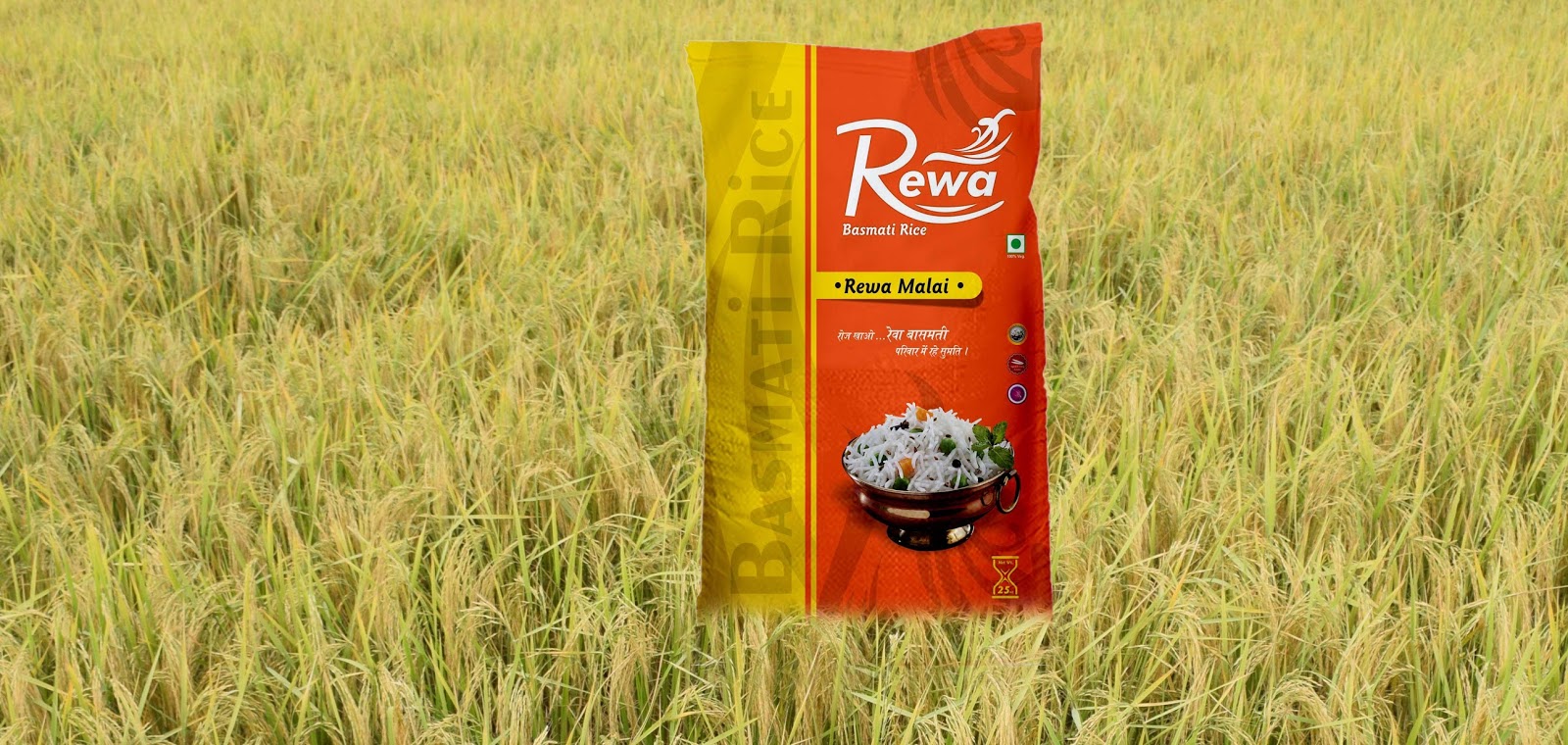 indian basmati rice -basmati rice: shri rewa rice mills pvt.ltd.