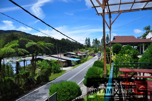 Alam Terkembang Jadikan Guru Kampung Taman Sedia Cameron Highland