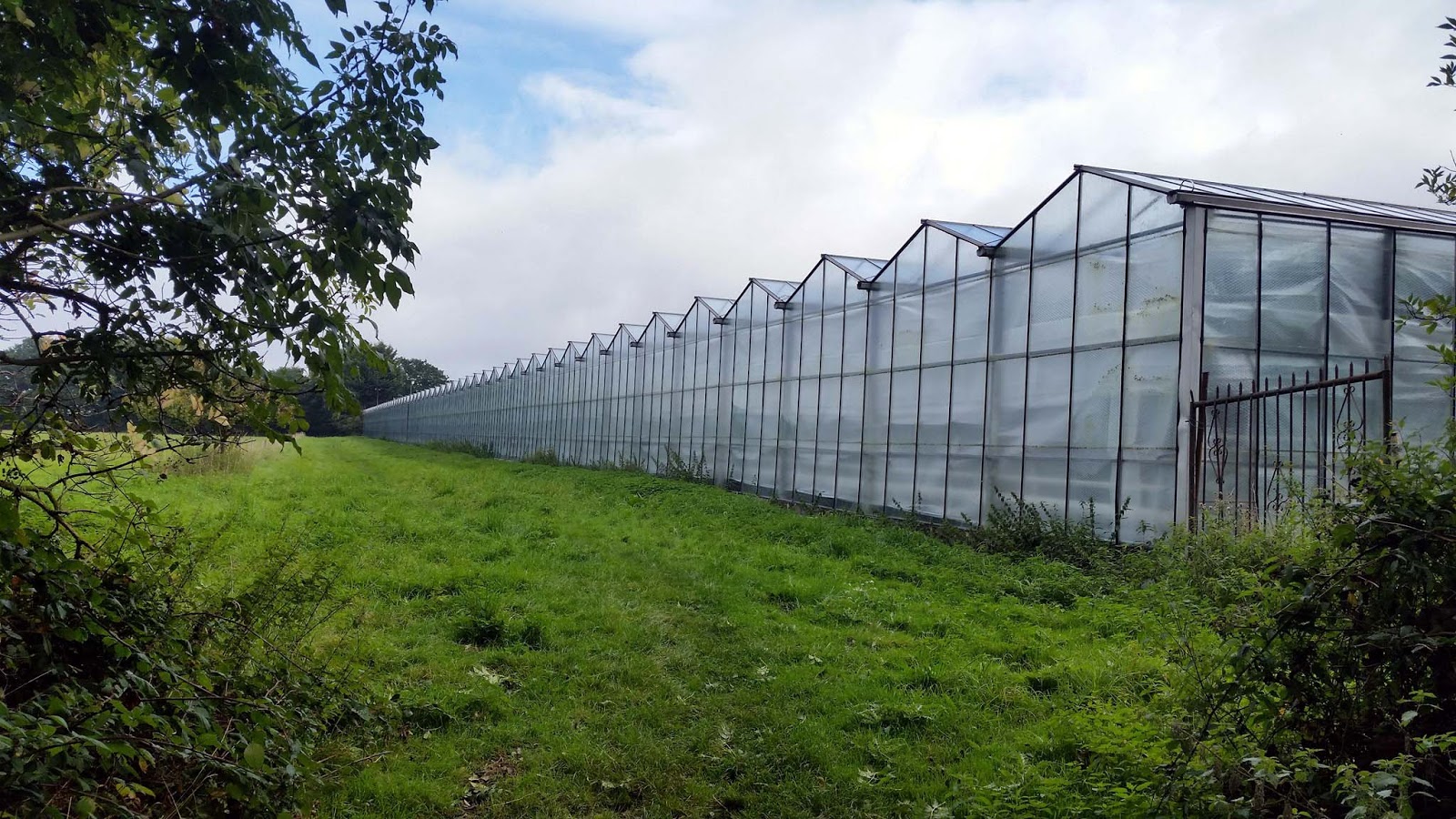 My Adventures 3: South Weald Circular Walk 19th September 2017