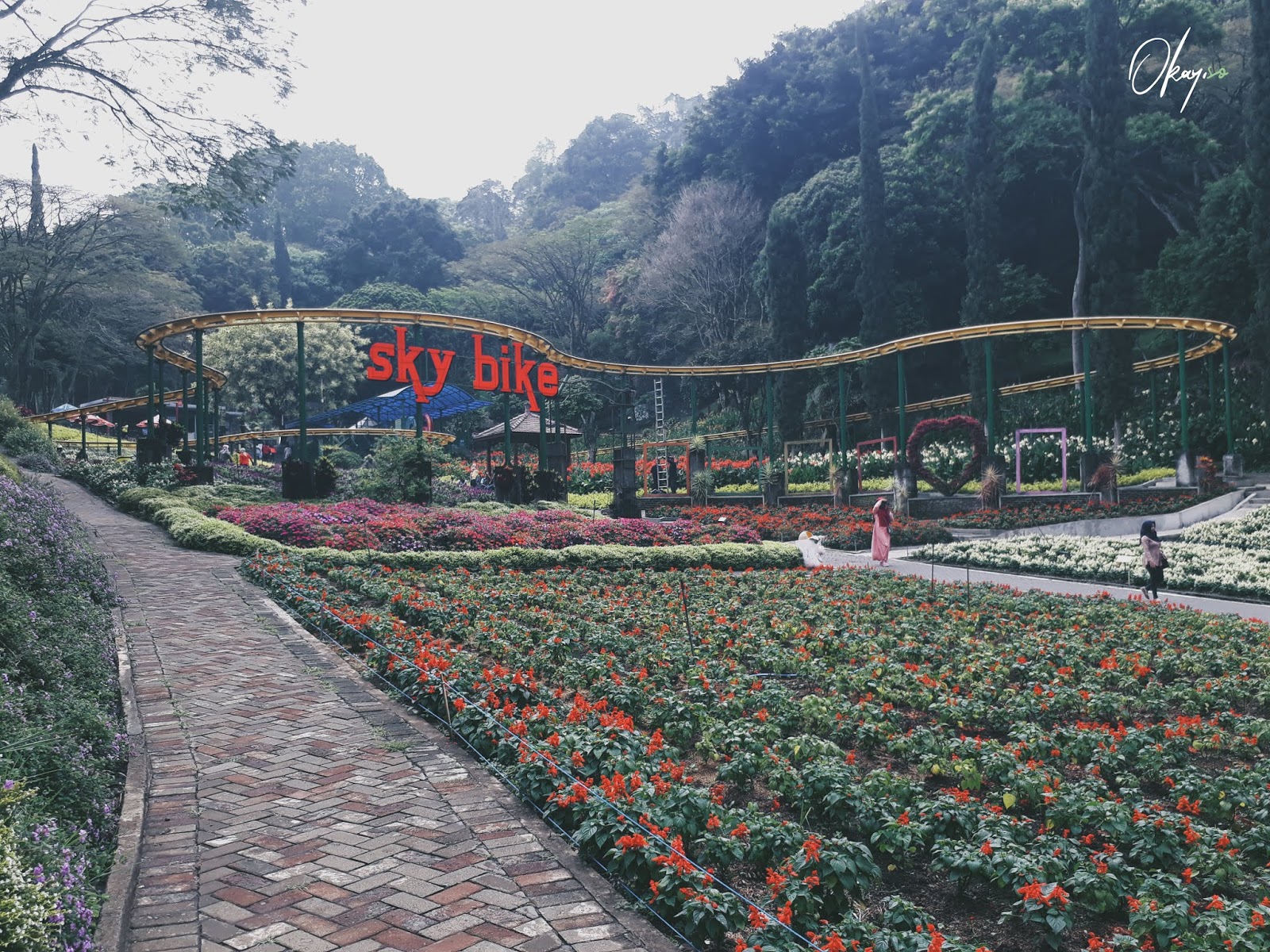 Seribu Jenis Bunga Ada di Selecta Malang | NOTARCHI