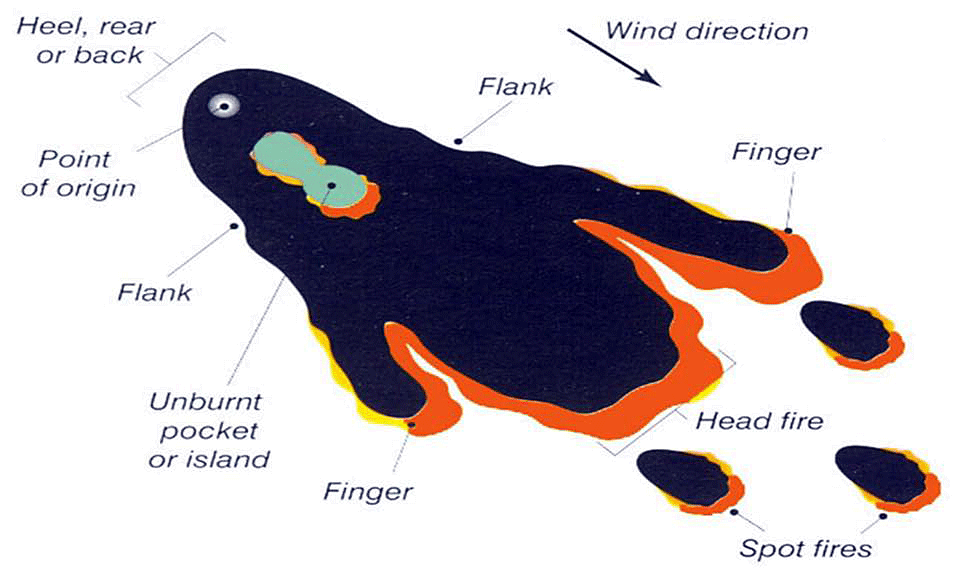 Bushfire situation near Maydena - New Norfolk News