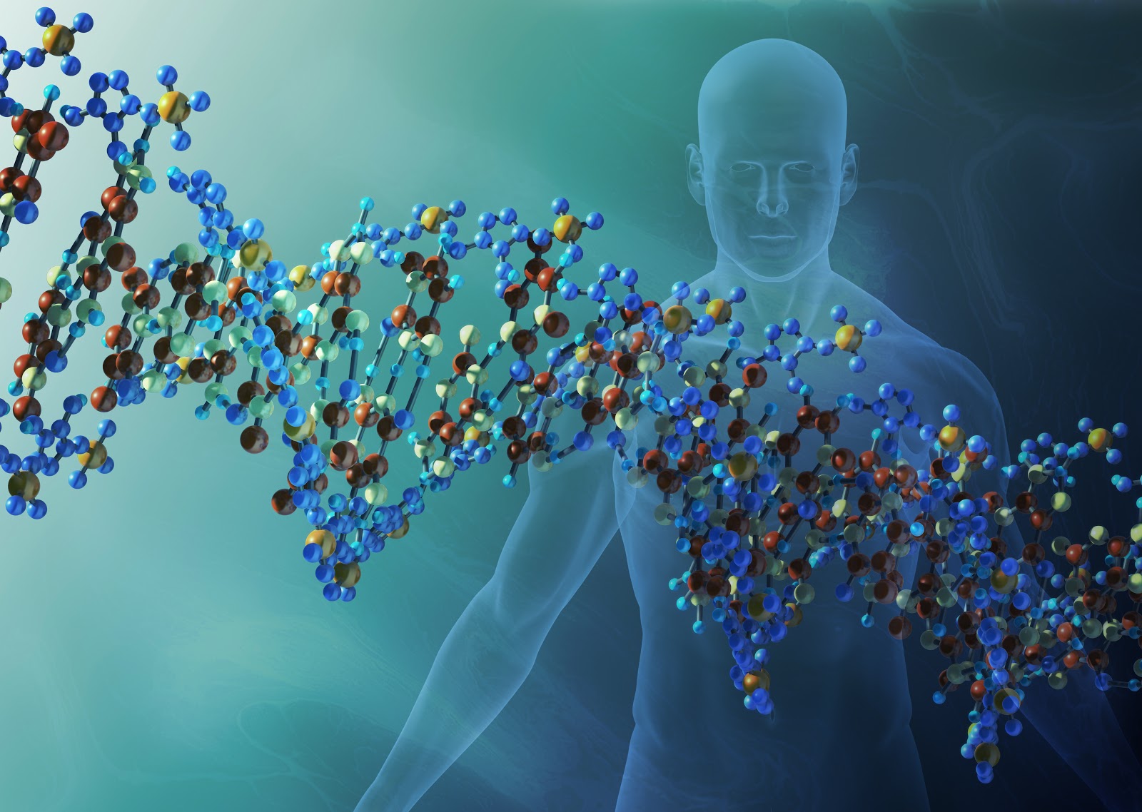 METAMORFOSIS HUMANA: Susanna Thorpe-Clark: ADN, Evidencia de Cambios ...