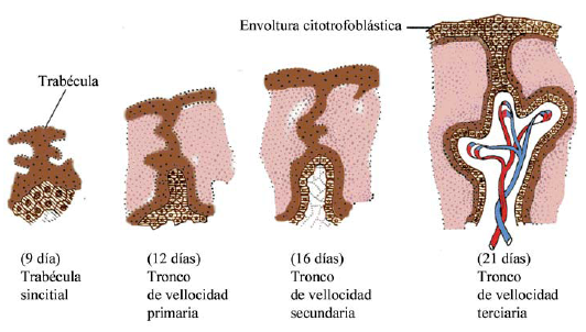 Un poco de medicina.: enero 2017