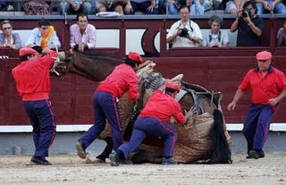 De Hombres,Toros y Caballos