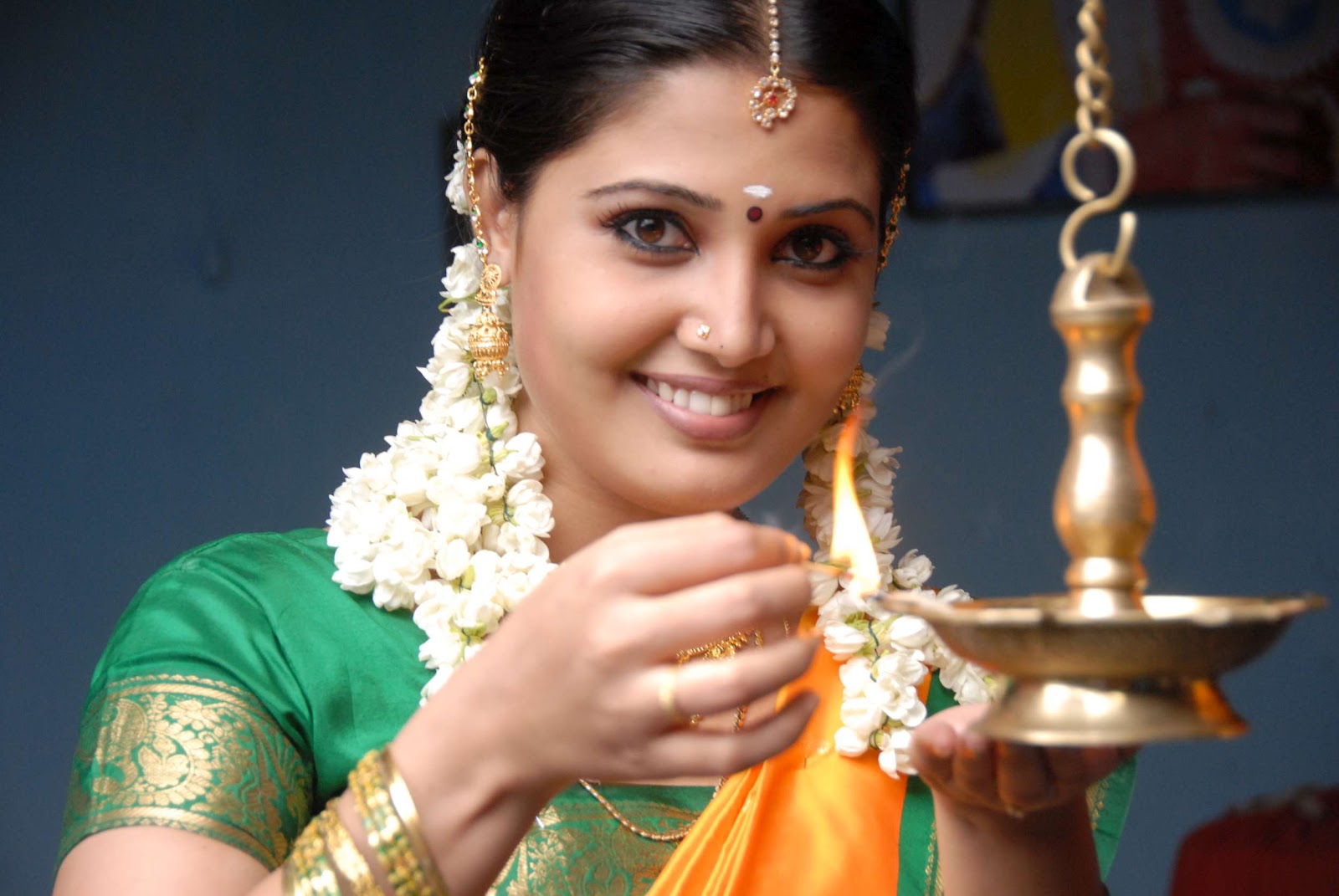 Mallu Actress Sandra Jose Photo Gallery In Saree | Spicy Photo Gallery ...