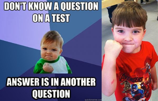 22 Meme Internet: Success Kid - memes. people currently