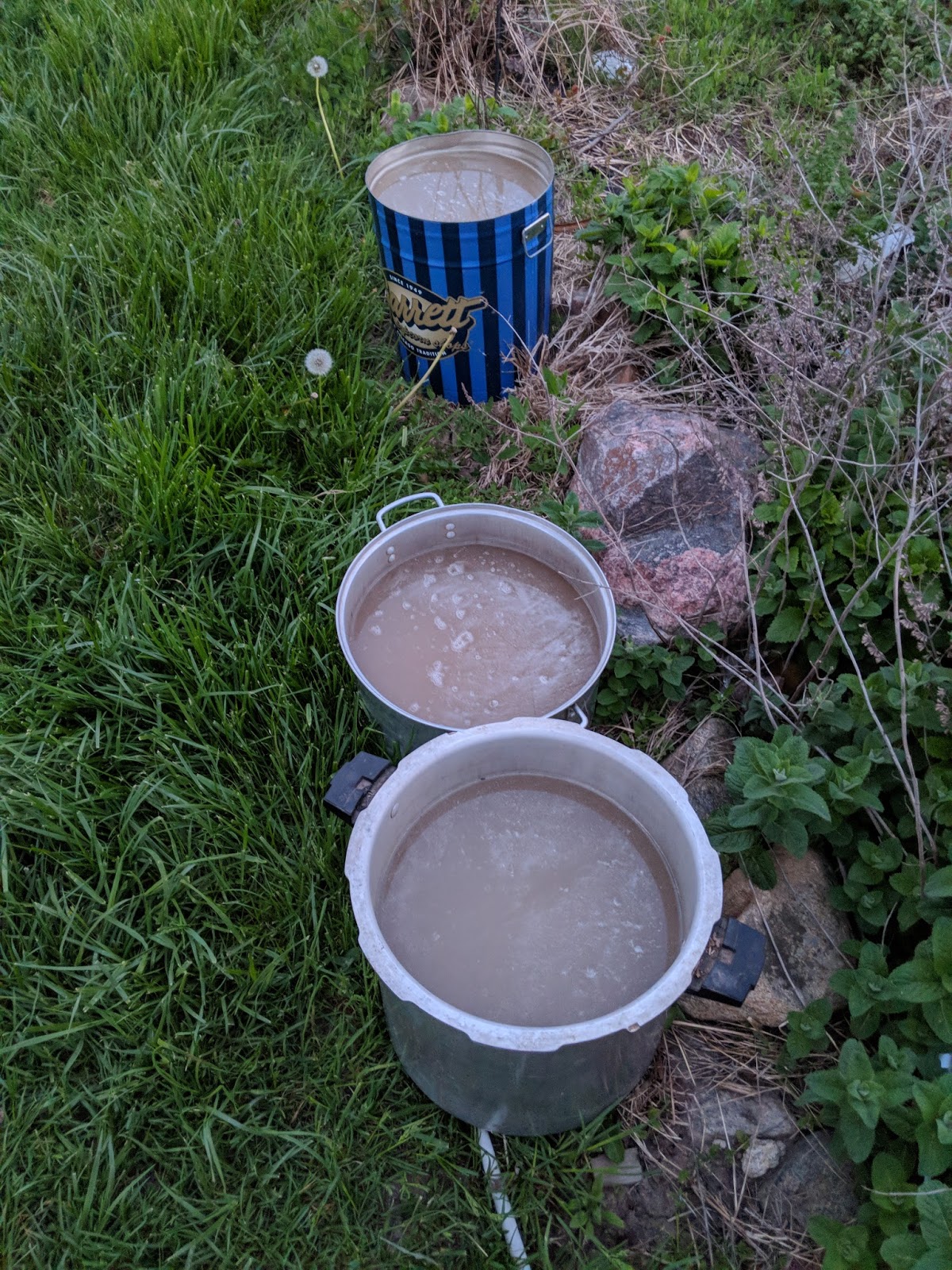 In the Merry Muddy Middle