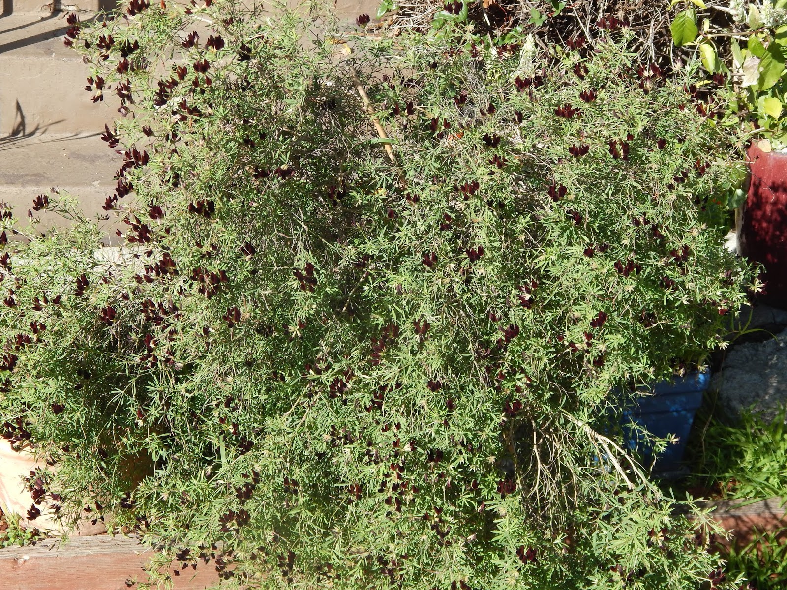 Norm's Nursery: Back on the farm