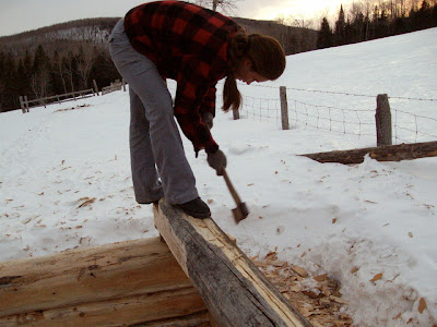 Building a log cabin with hand tools - feryteens