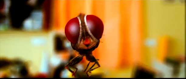 Makkhi [HD] Trailer blu ray movies - cinemaselect