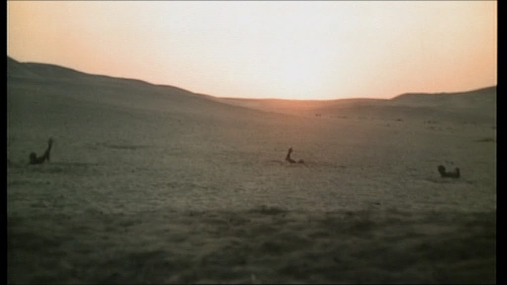 Cool Ass Cinema: Movies I Love That Everybody Else Hates: Dawn of the ...