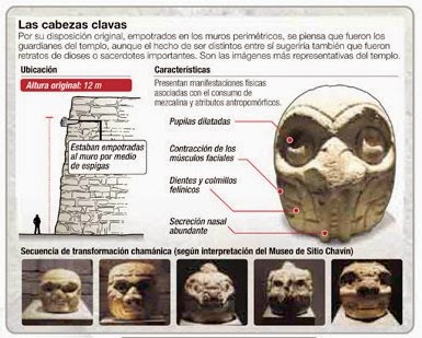 Infografías : Cabeza clava