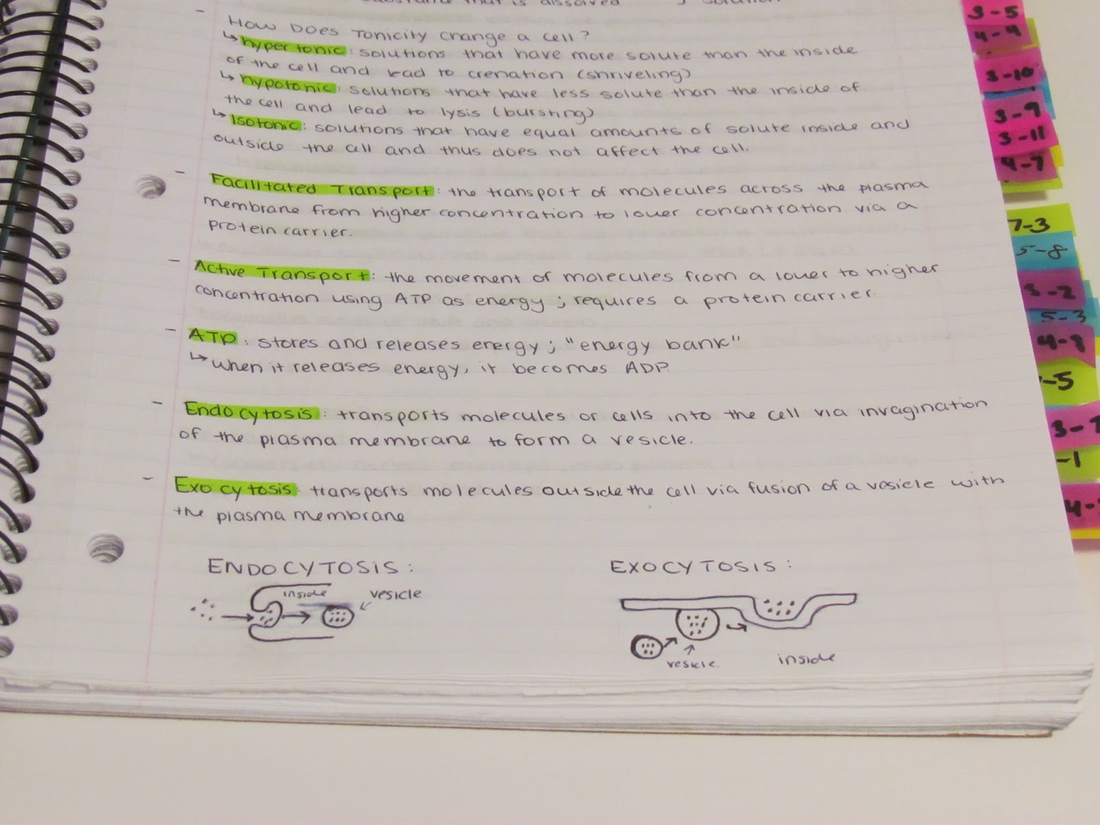 Note-taking For Dummies — life according to francesca