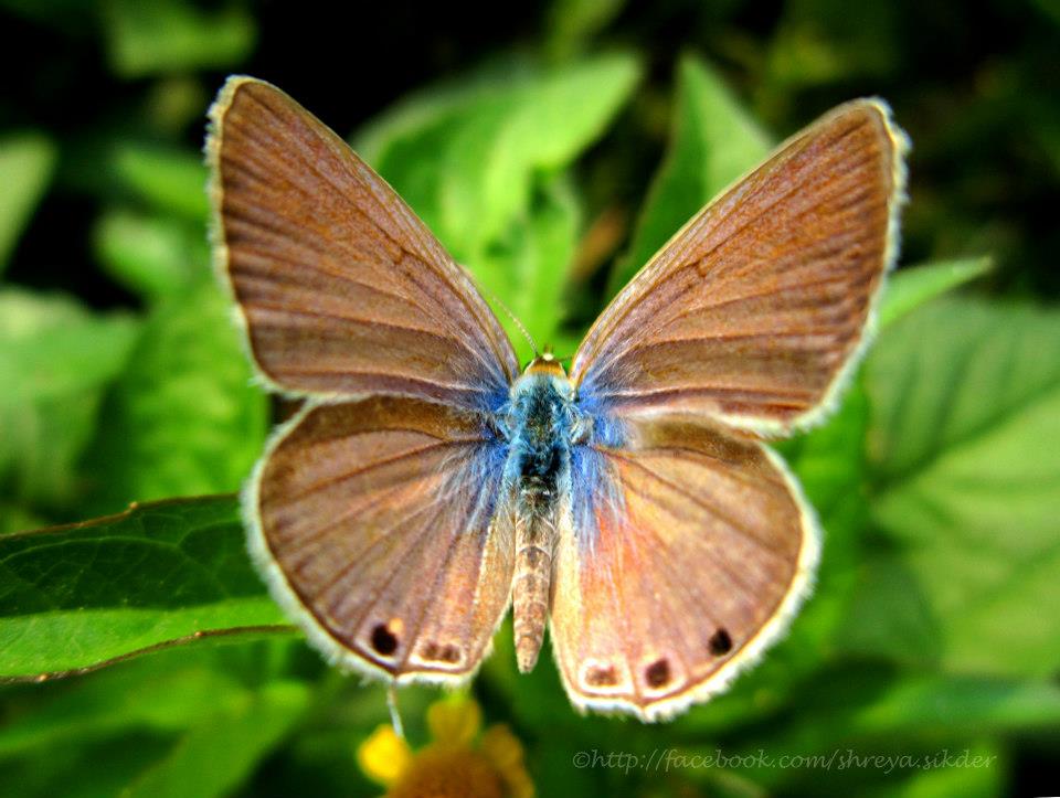 Let's Walk Together And Explore The World. Shall We? : Some shots of ...